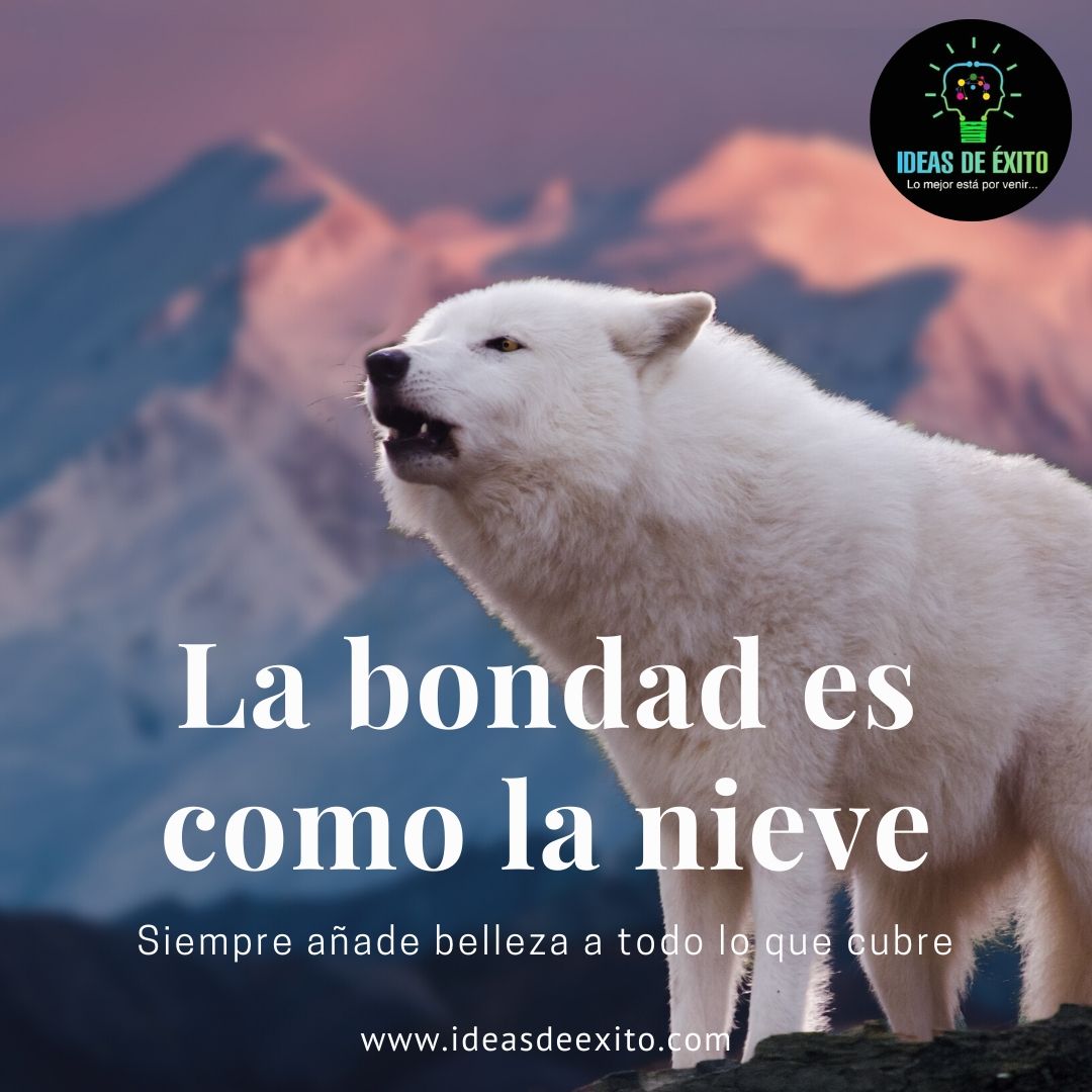 Motivación (Tips #20_030): ¿Qué oculta la Bondad? – Ideas de Éxito